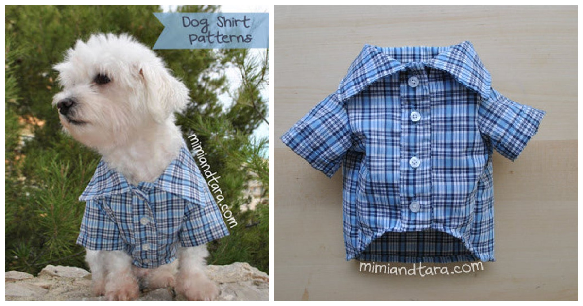 Dog Shirt Sewing Pattern Dog Shirt Sewing Pattern